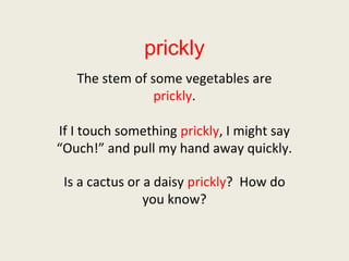 Grade 1 lesson 29 vocabulary powerpoint | PPT