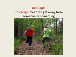 Grade 1 lesson 2 vocabulary powerpoint | PPT