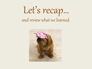 Grade 1 lesson 30 vocabulary power point | PPTX