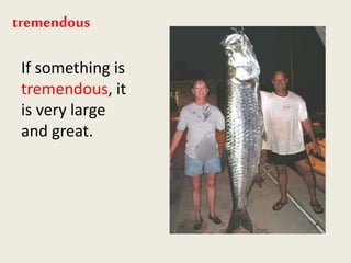 Grade 1 lesson 30 vocabulary power point | PPTX