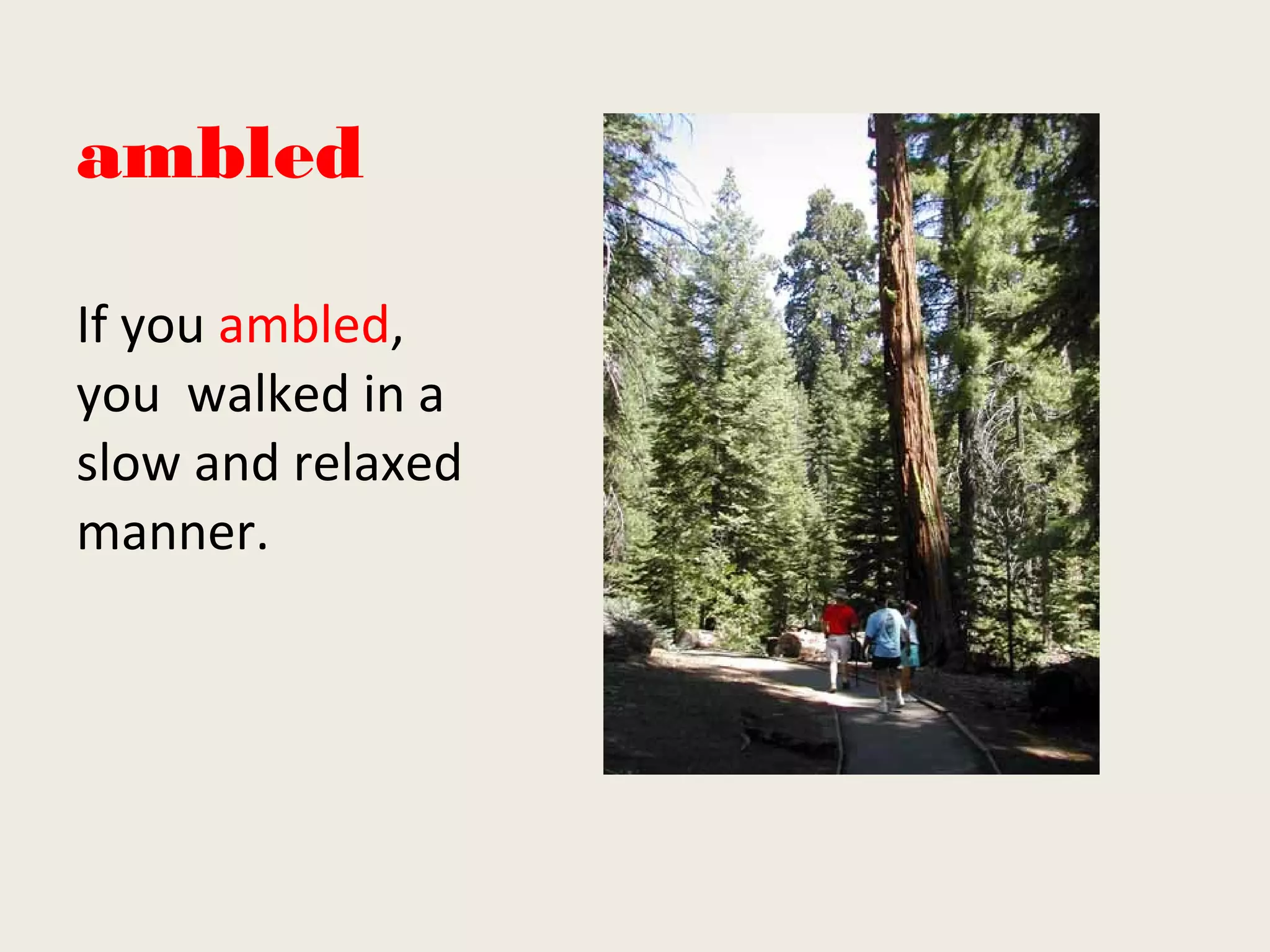 Grade 1 lesson 4 vocabulary powerpoint | PPT