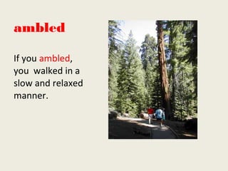 Grade 1 lesson 4 vocabulary powerpoint | PPT