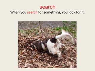 Grade 1 lesson 6 vocabulary powerpoint | PPT