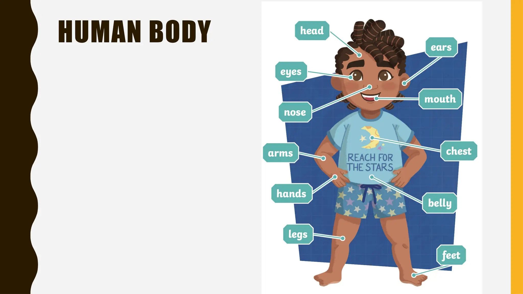 Parts of a body Primary 1 - Jan Richard Gomez | PPTX