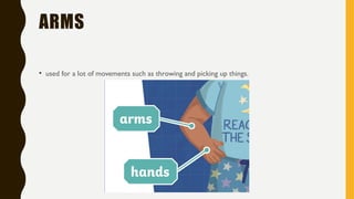 Parts of a body Primary 1 - Jan Richard Gomez | PPT