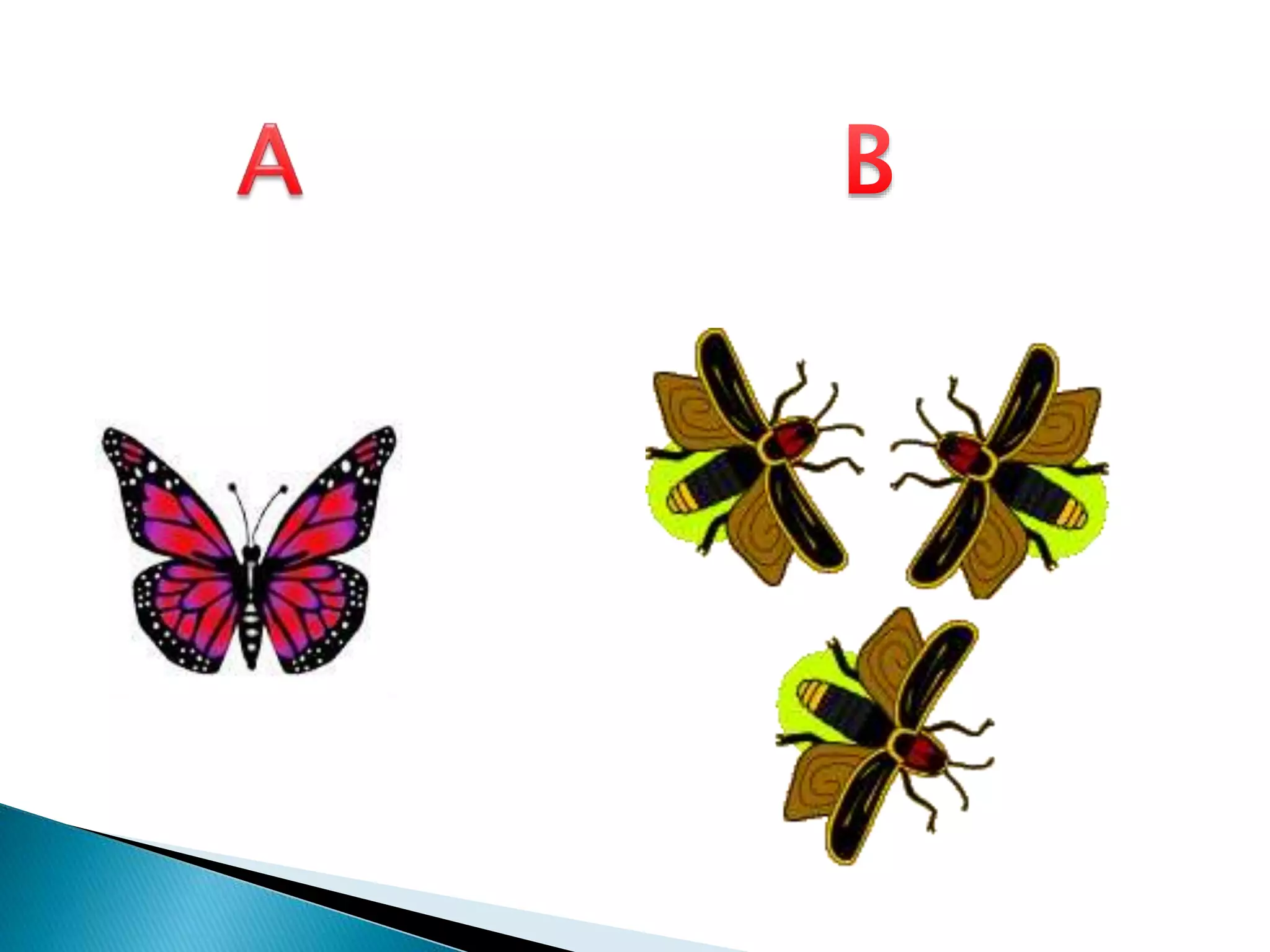 Grade 1 PPT_Math_Q1_W5_Day 1-5.ppt