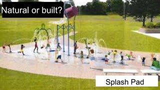 Social Studies - Natural and Built Features of Local Community | PPTX