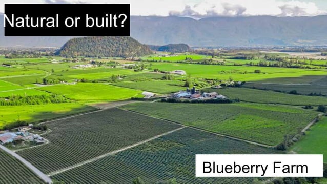 Social Studies - Natural and Built Features of Local Community | PPTX ...