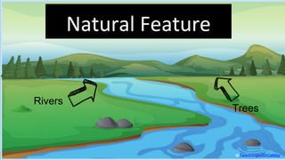 Social Studies - Natural and Built Features of Local Community | PPTX