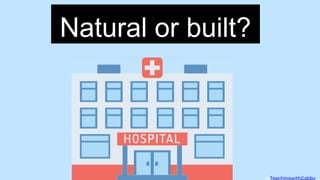 Social Studies - Natural and Built Features of Local Community | PPTX