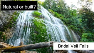 Social Studies - Natural and Built Features of Local Community | PPTX