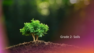 Grade 2 -Soil & Transport.pdf HGFCVSDAHTRD | PPT