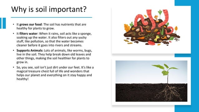 Grade 2 -Soil & Transport.pdf HGFCVSDAHTRD | PDF