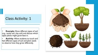 Grade 2 -Soil & Transport.pdf HGFCVSDAHTRD | PDF
