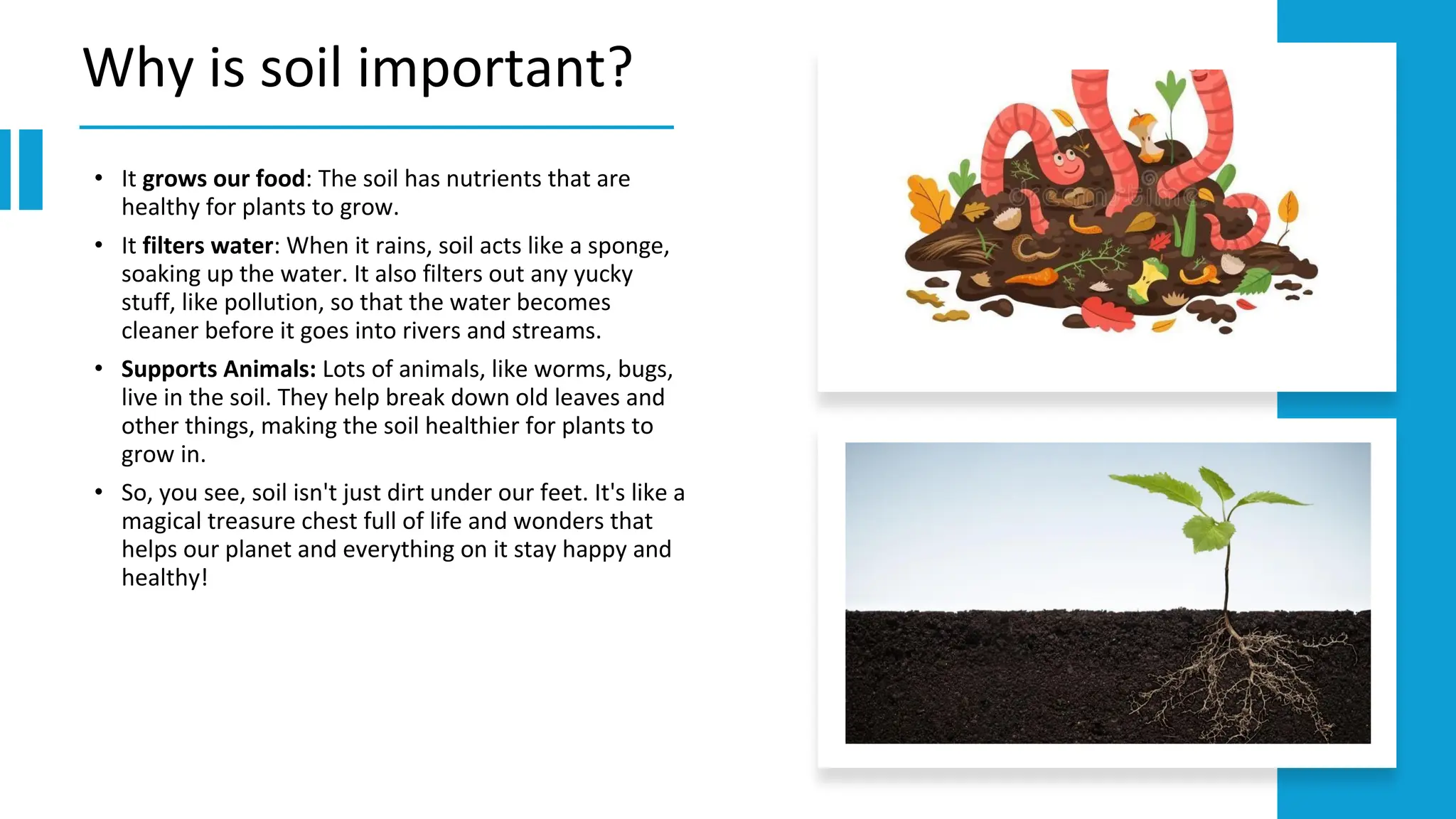 Grade 2 -type of Soil & type of Transport | PDF