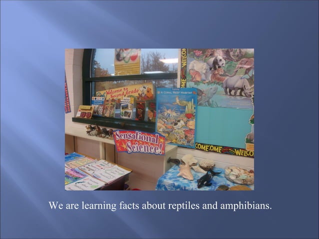 Grade 2B Slide Show Part 2 | PPT