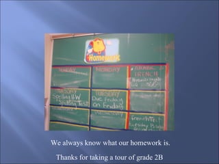 Grade 2B Slide Show Part 2 | PPT | Reptiles | Pets