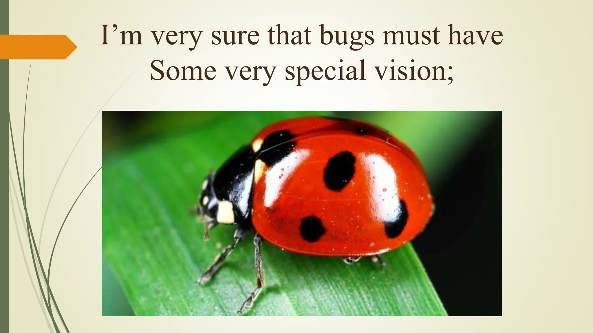 Grade 2 English Unit 5 Poem traffic.pptx