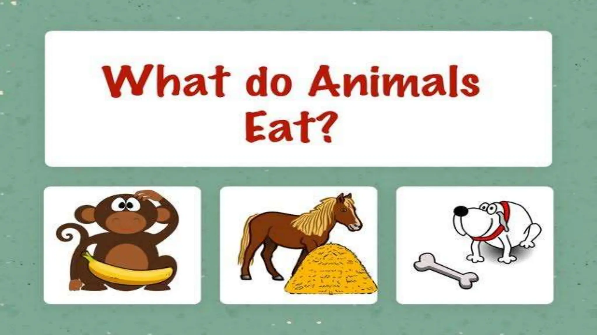 Grade 2 Evs Chapter 12 Animals around us.pptx