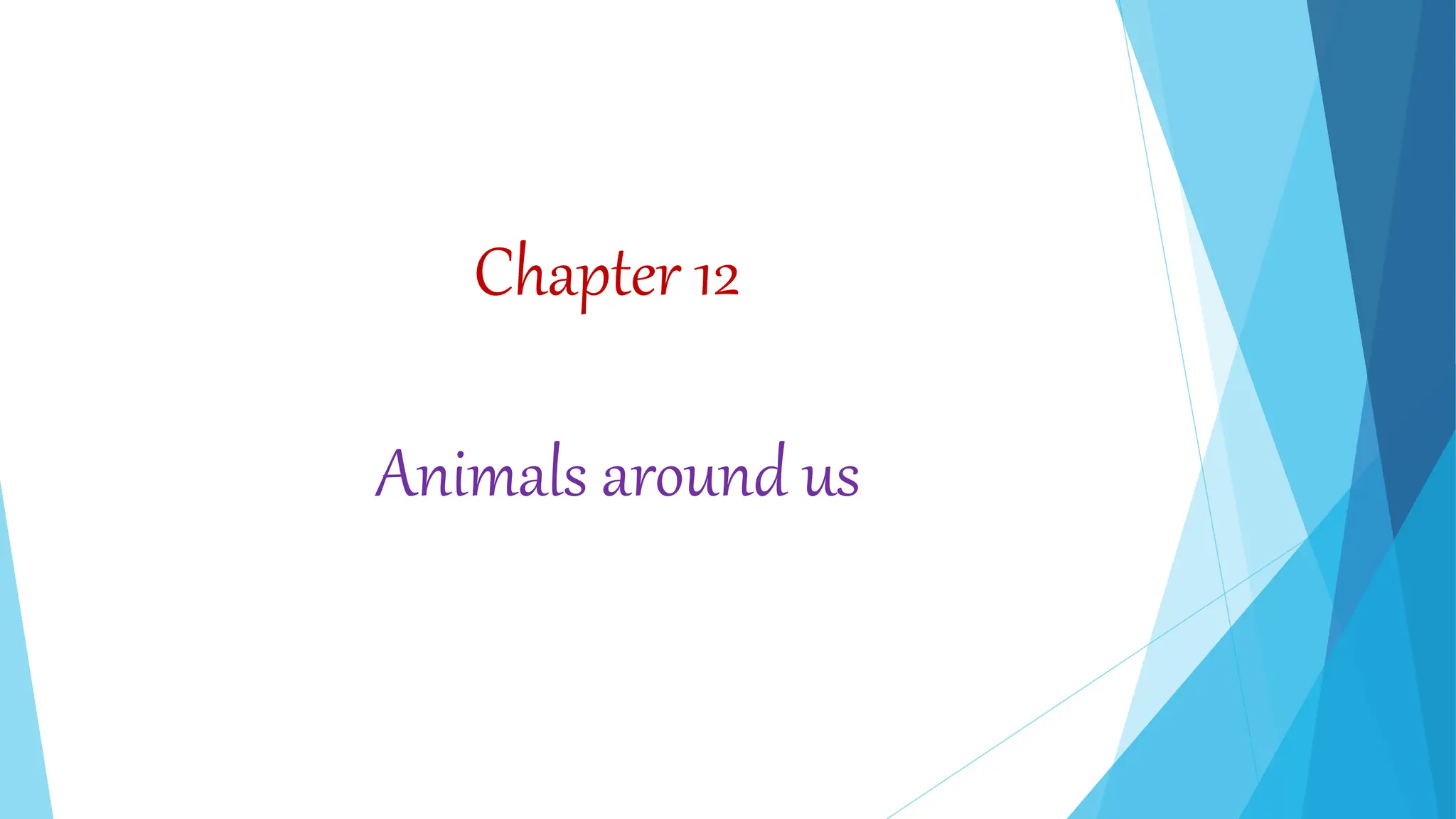 Grade 2 Evs Chapter 12 Animals around us.pptx
