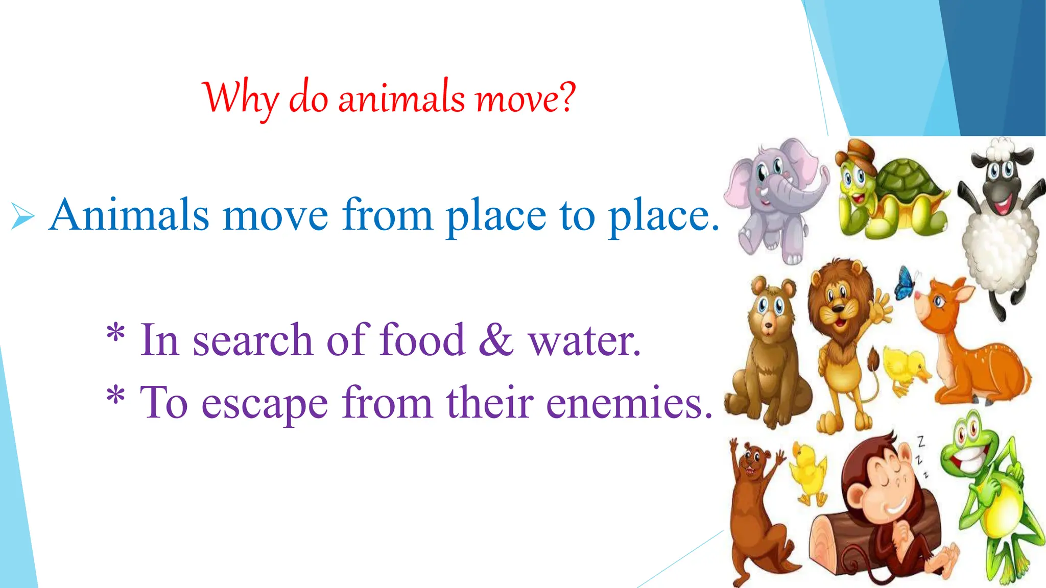 Grade 2 Evs Chapter 12 Animals around us.pptx