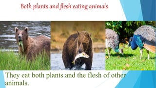 Grade 2 Evs Chapter 12 Animals around us.pptx