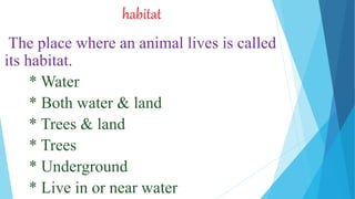 Grade 2 Evs Chapter 12 Animals around us.pptx
