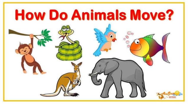 Grade 2 Evs Chapter 12 Animals around us.pptx