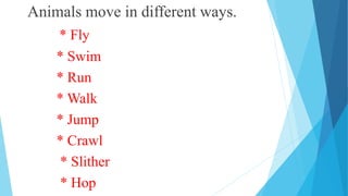 Grade 2 Evs Chapter 12 Animals around us.pptx