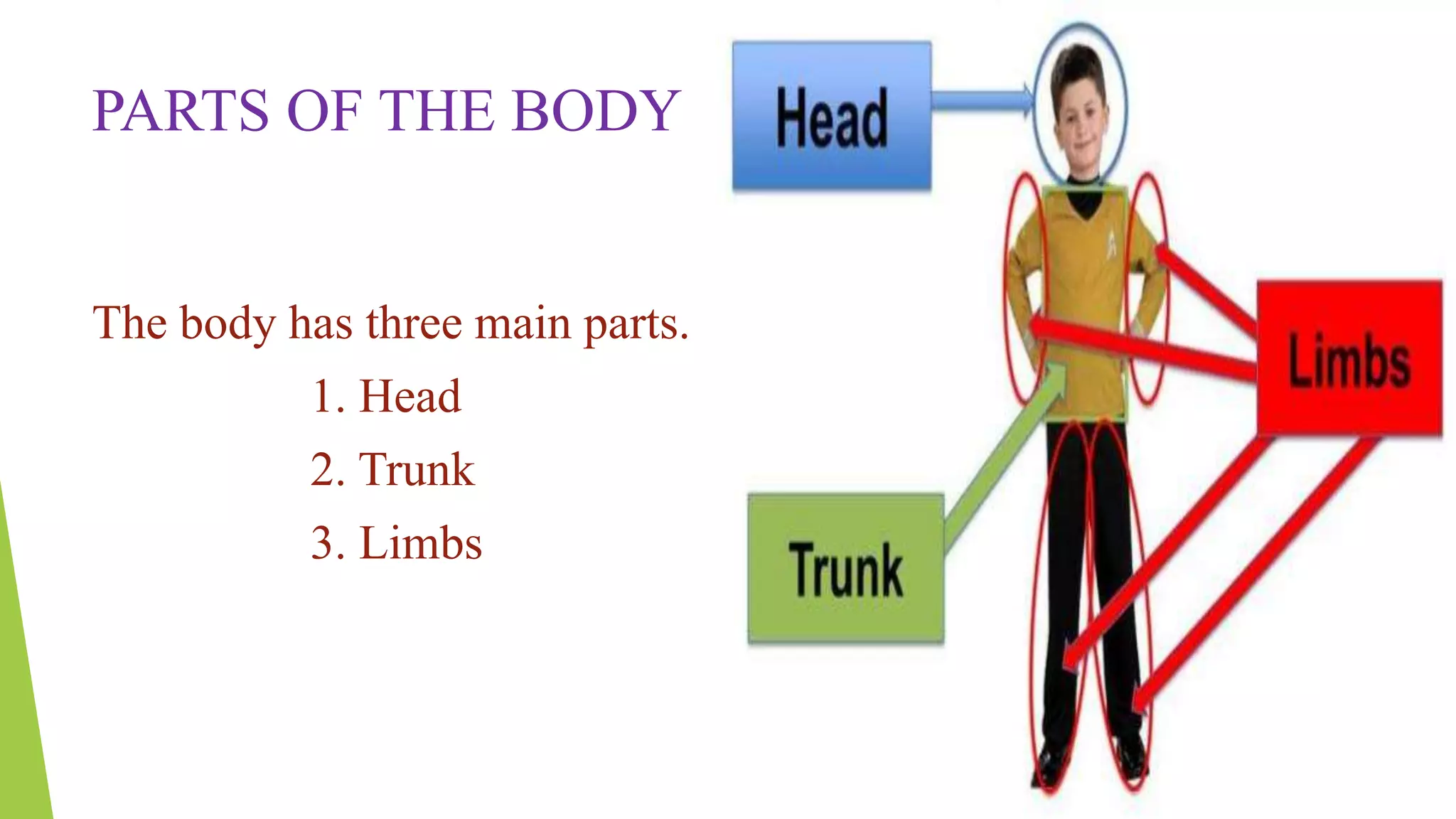 Grade 2 EVS Chapter 1 PPT.pptx