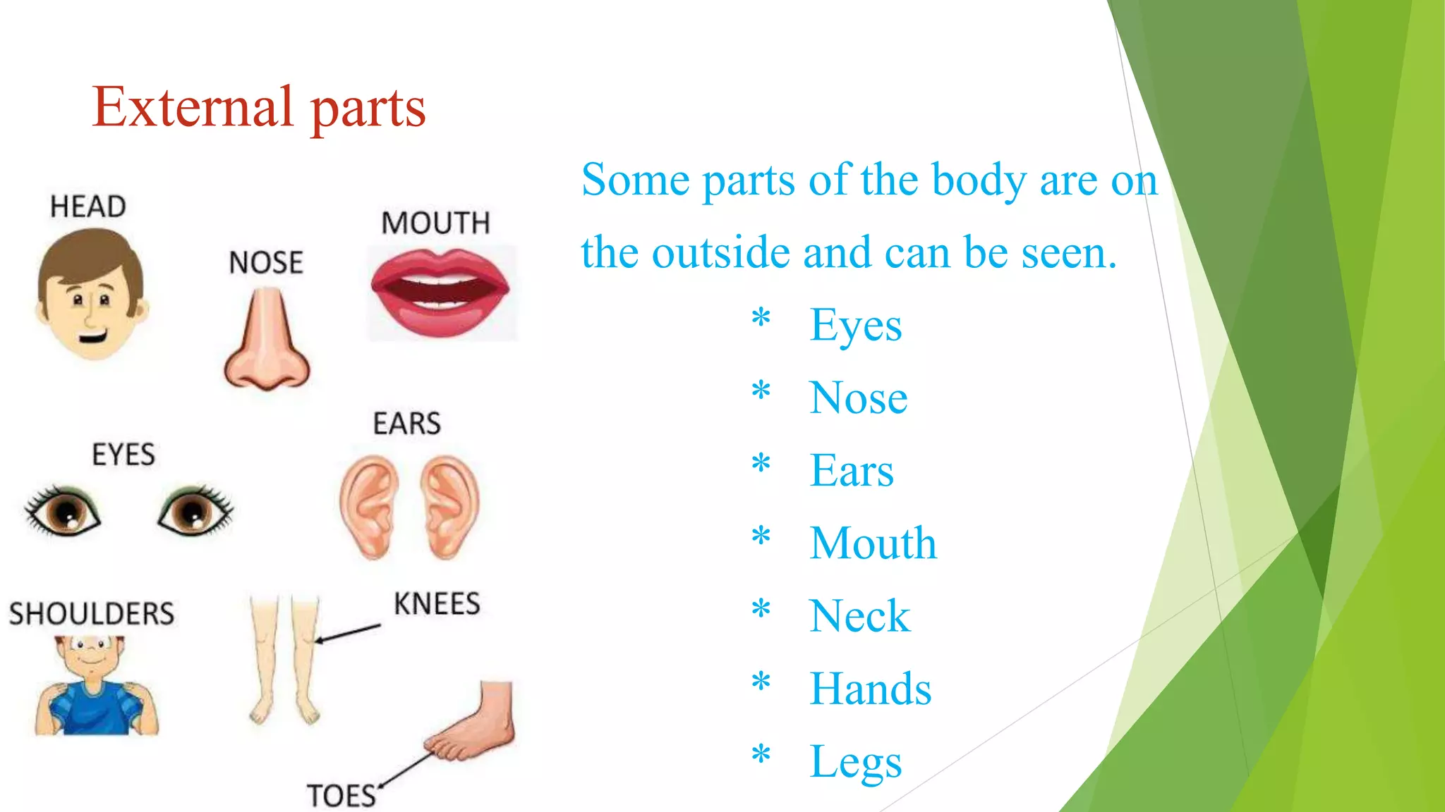 Grade 2 EVS Chapter 1 PPT.pptx