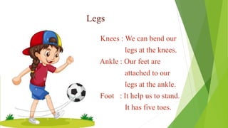 Grade 2 EVS Chapter 1 PPT.pptx