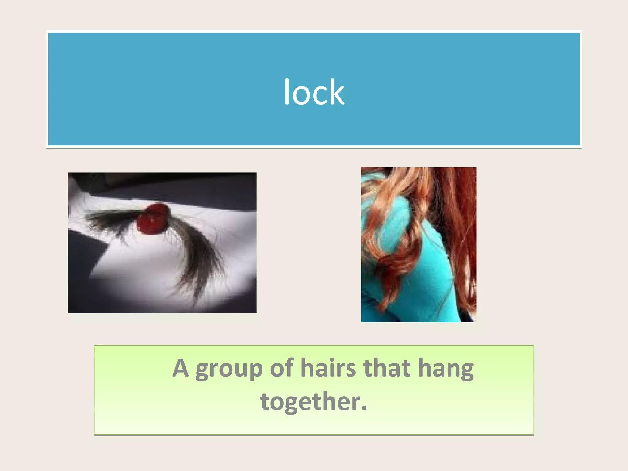 Grade 2 lesson 15 vocabulary power point | PPT