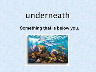 Grade 2 lesson 16 vocabulary power point | PPT | Homework and Study ...