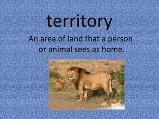 Grade 2 lesson 18 vocabulary power point | PPT