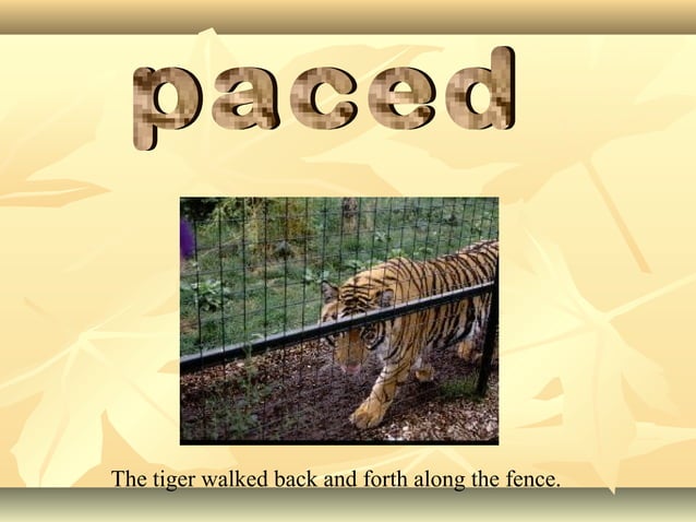 Grade 2 lesson 9 vocabulary power point | PPT