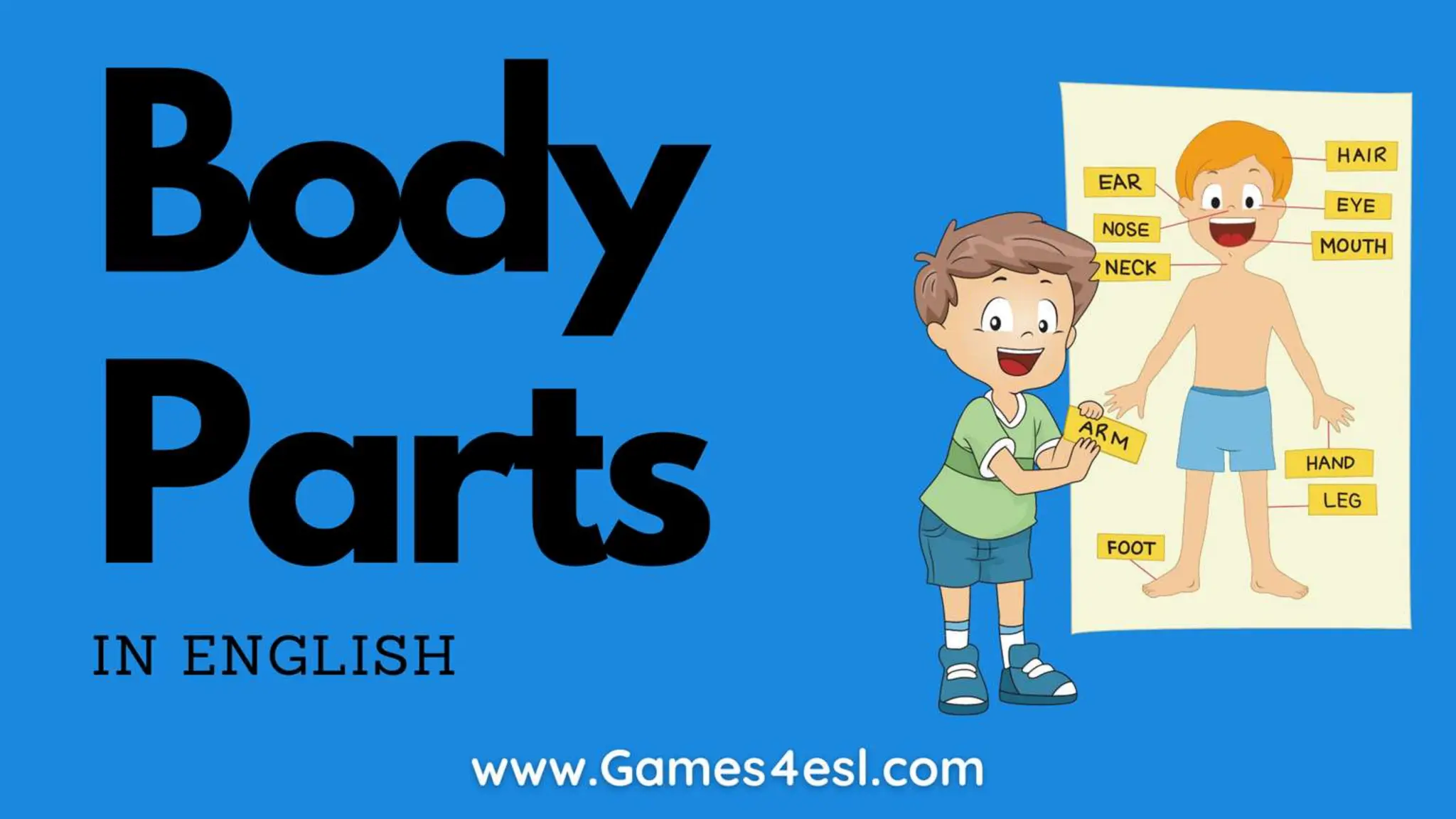 Grade 2, Power point- Lesson 5 ,part of body | PPTX
