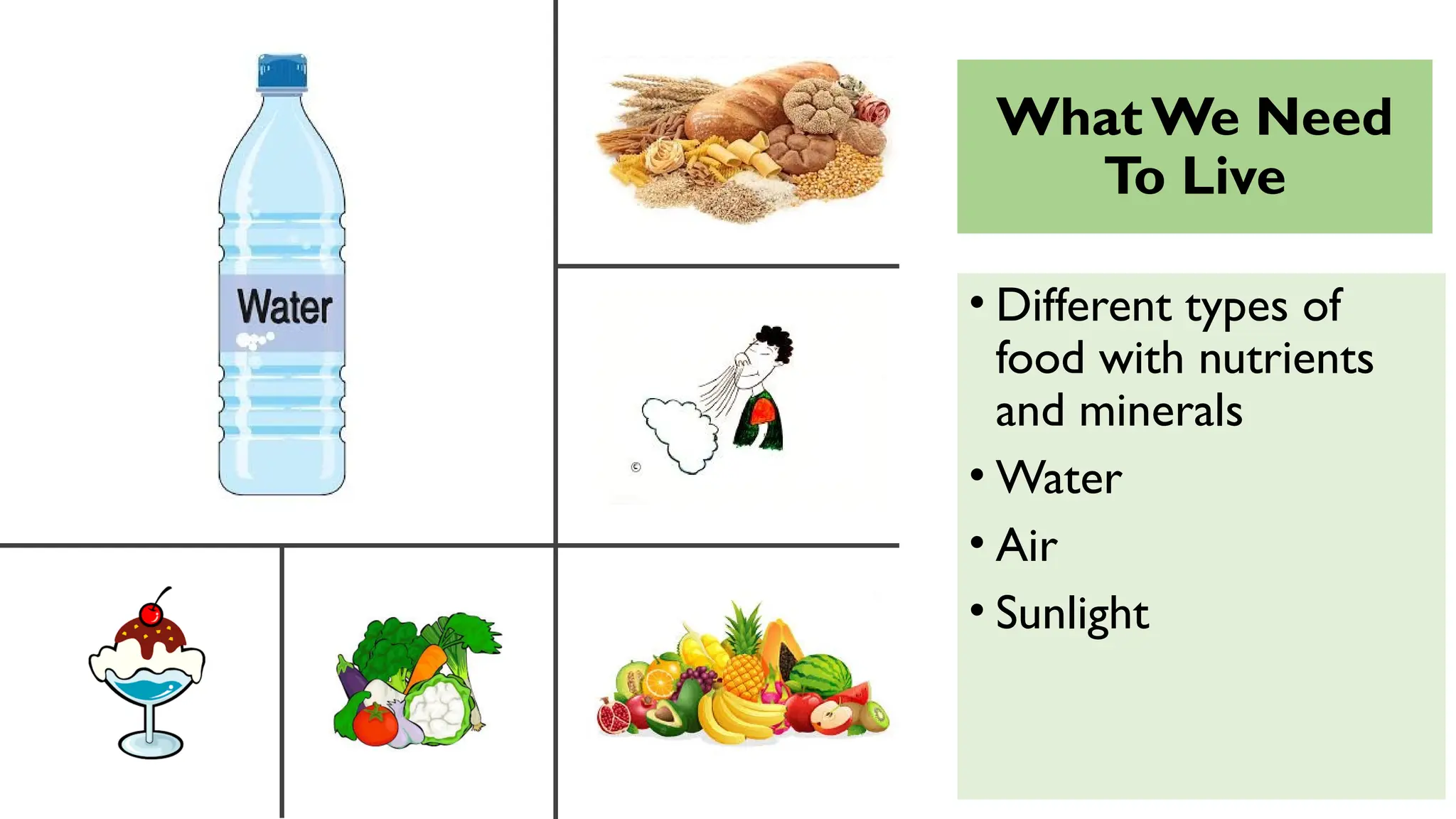 Grade 2 What We Need to Live .powerpoint | PPTX