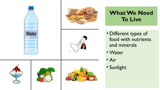 Grade 2 What We Need to Live .powerpoint | PPTX