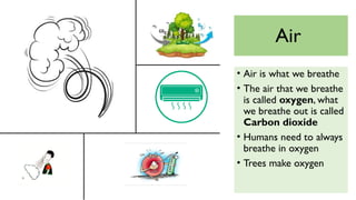 Grade 2 What We Need to Live .powerpoint | PPTX