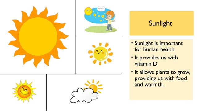 Grade 2 What We Need to Live .powerpoint | PPTX