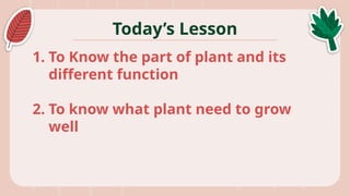 GRADE3-CHAPTER 4 (INTRODUCING, ROOTS, LEAVES, STEM AND FLOWER).pptx