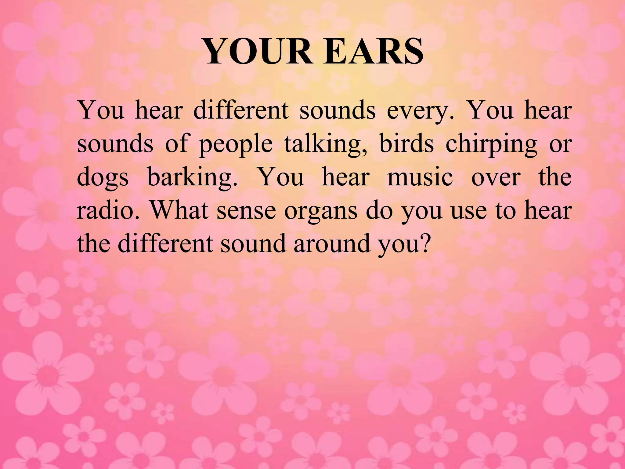 Grade3 sense organs | PPTX