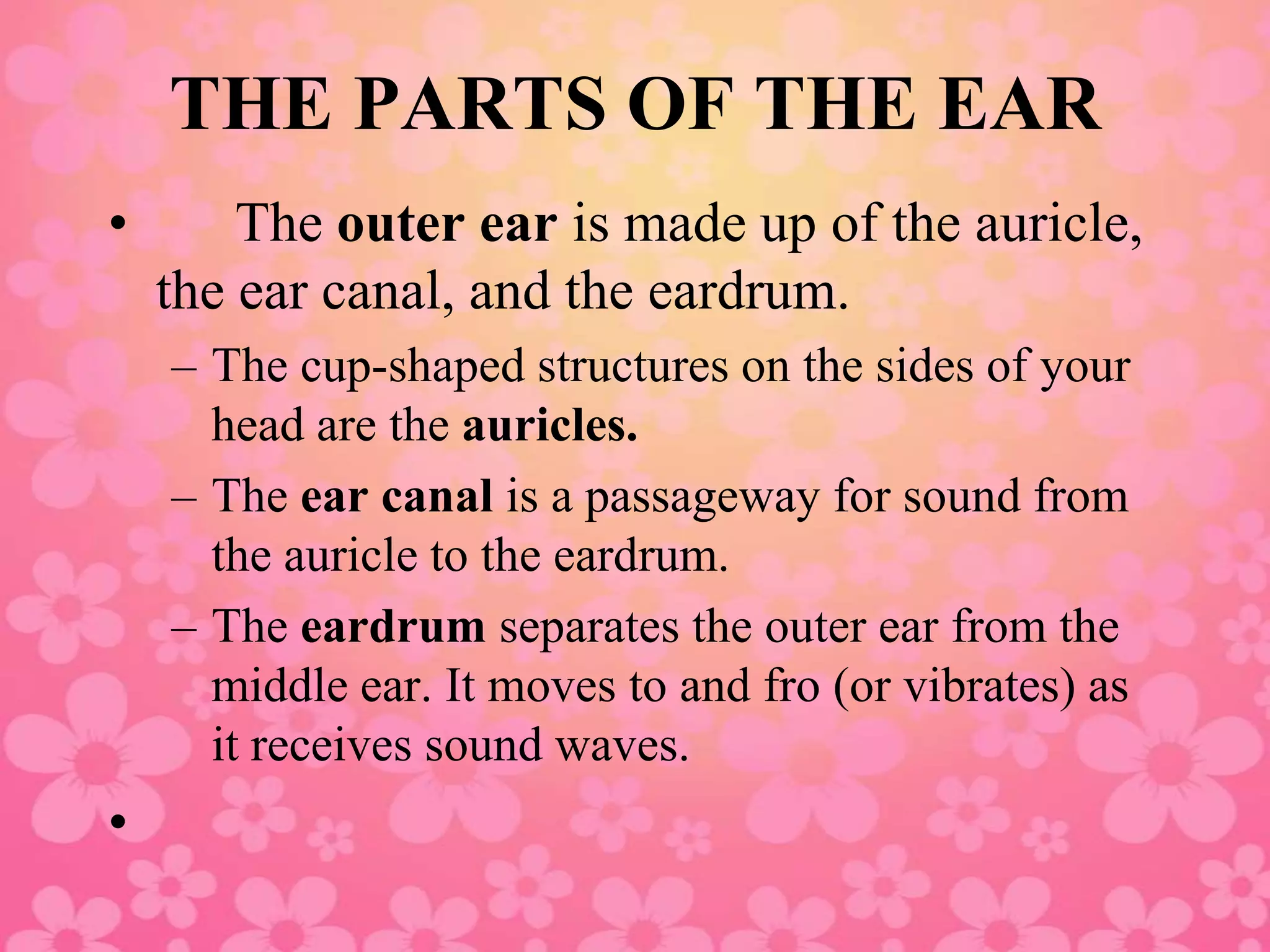 Grade3 sense organs | PPTX