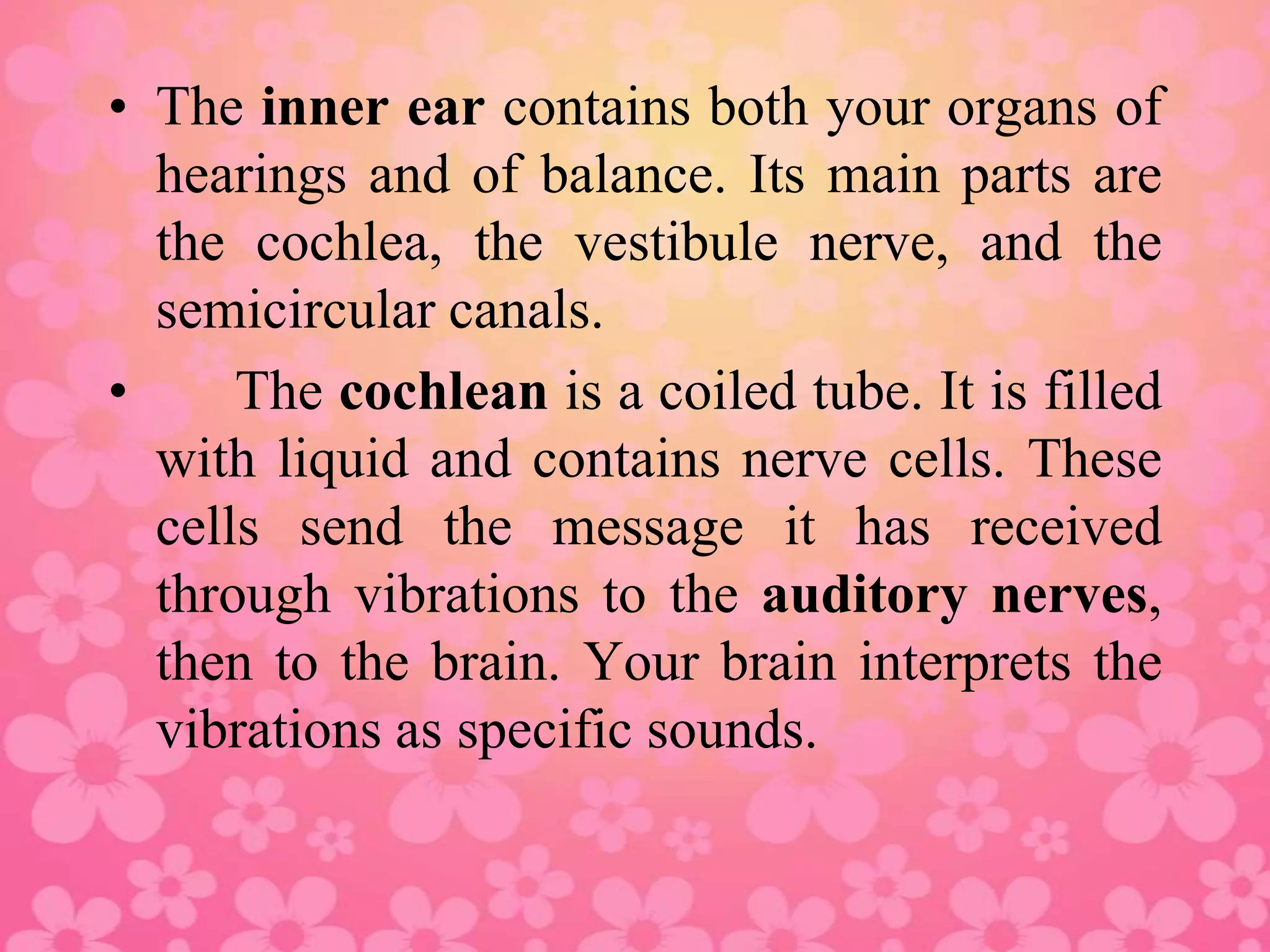 Grade3 sense organs | PPTX