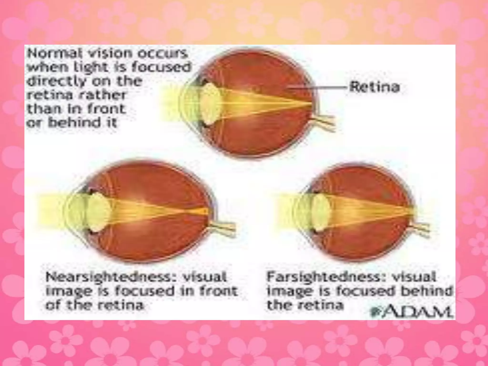 Grade3 sense organs | PPTX