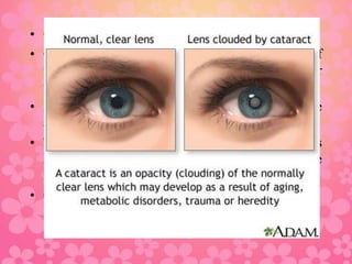 Grade3 sense organs | PPTX