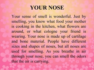 Grade3 sense organs | PPTX