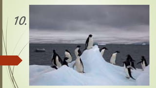 Grade 3 PPT_Science_Q1_Is it Hot or Cold.pptx