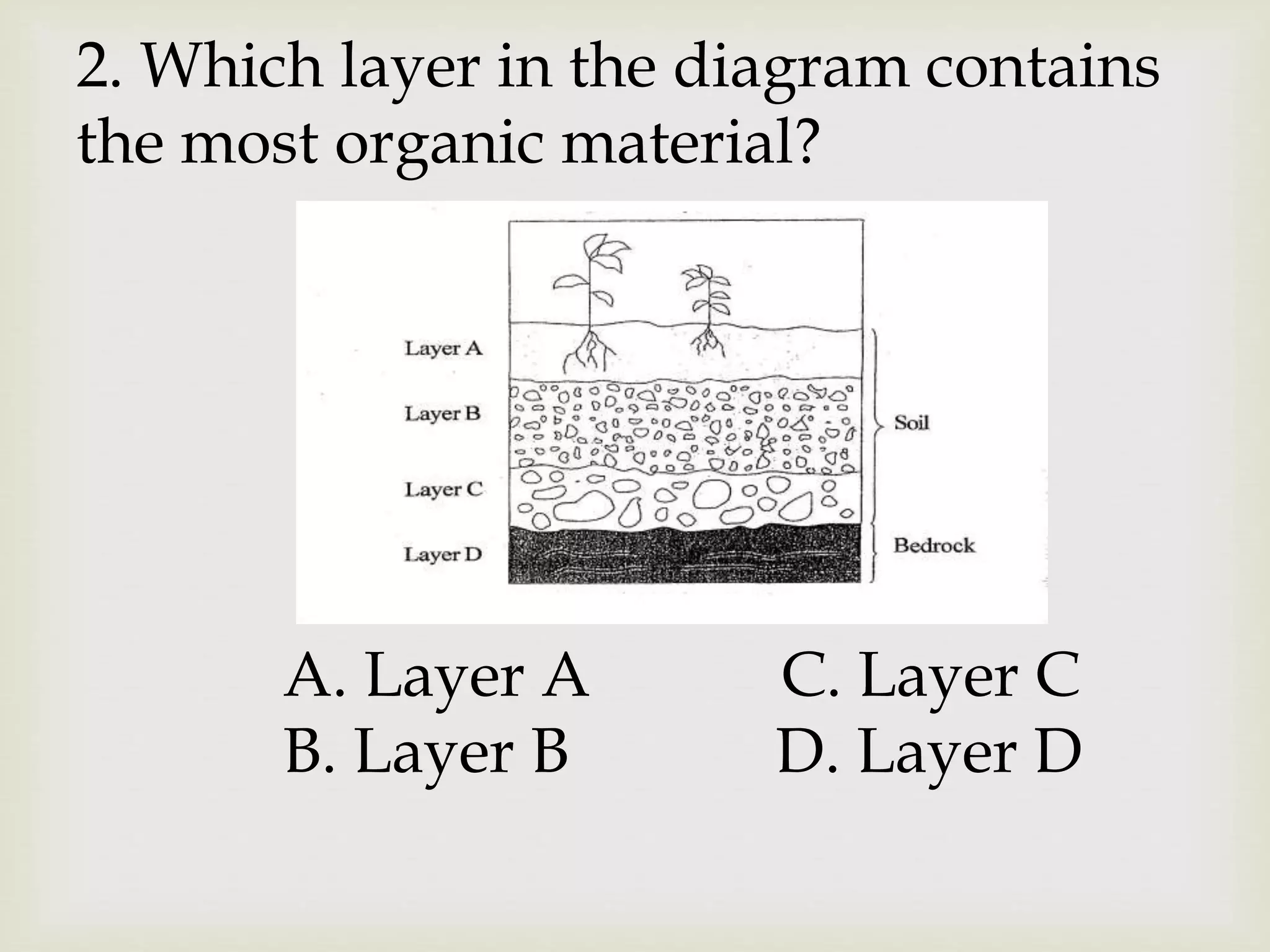 Grade 3 science quiz bee | PPTX